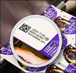 Domino Digital Printing Press | UV Inkjet Printers And More